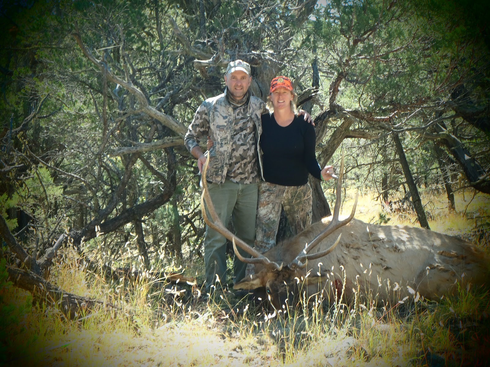 LWCF Story Challenge Results! : Artemis