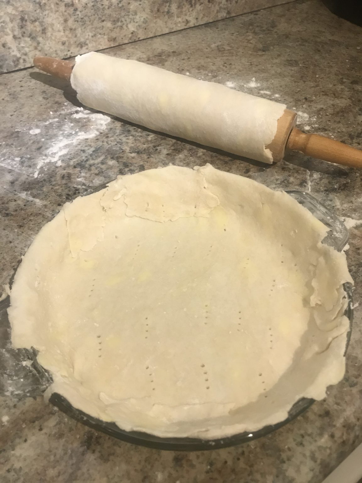 Squirrel Pot Pie : Artemis