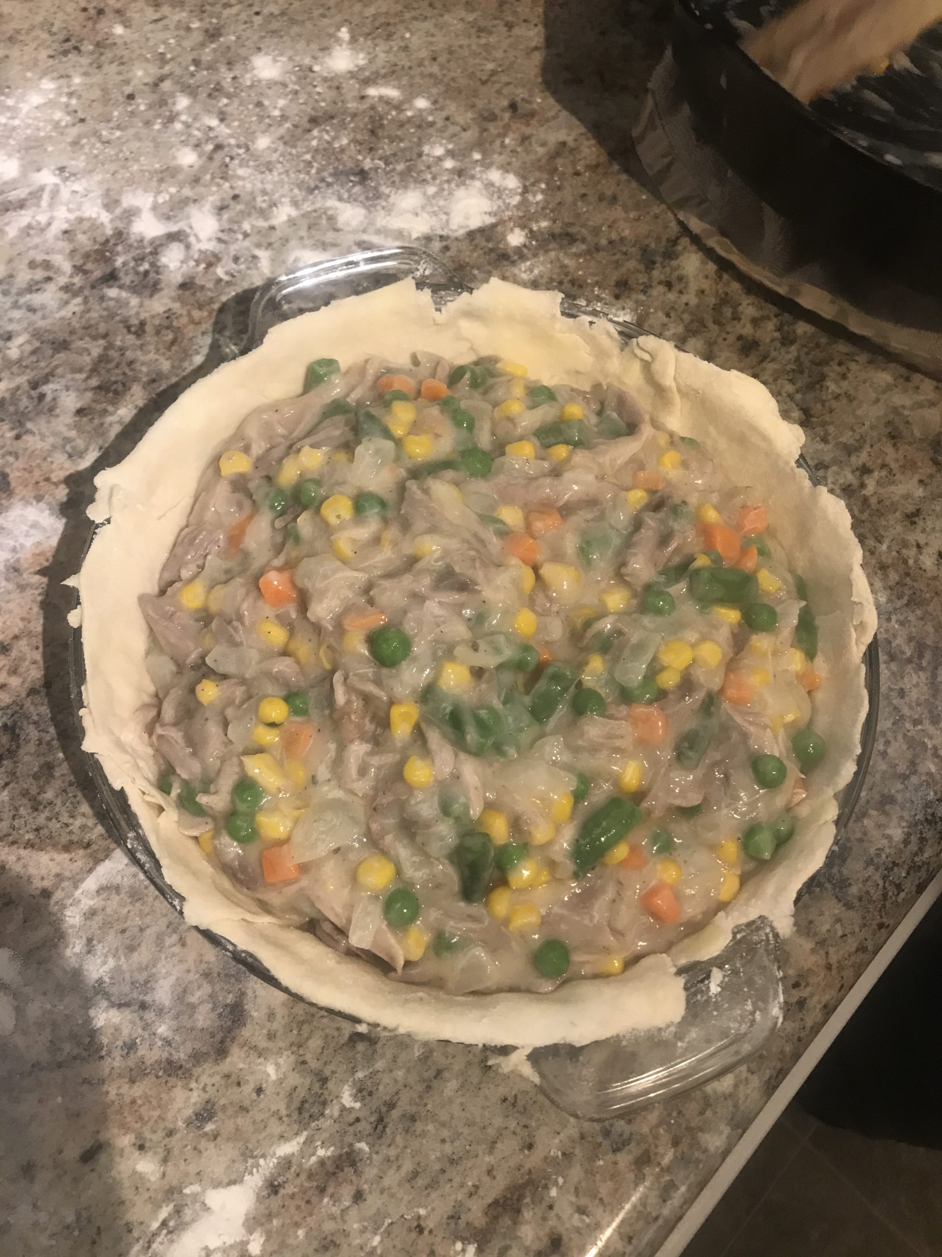 Squirrel Pot Pie : Artemis