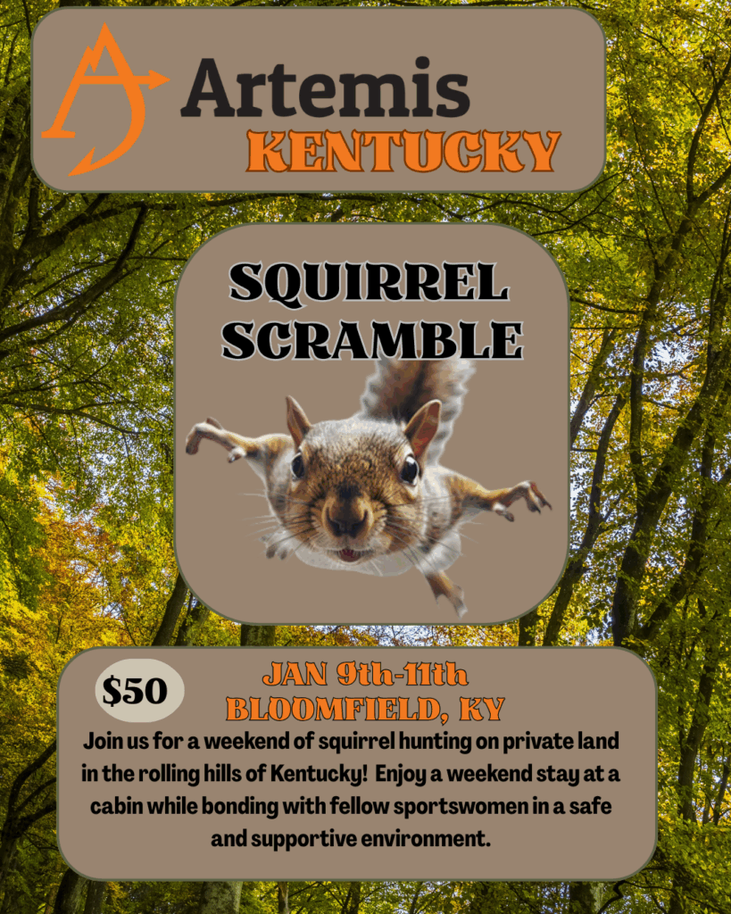 KY: Squirrel Scramble | Artemis : Artemis
