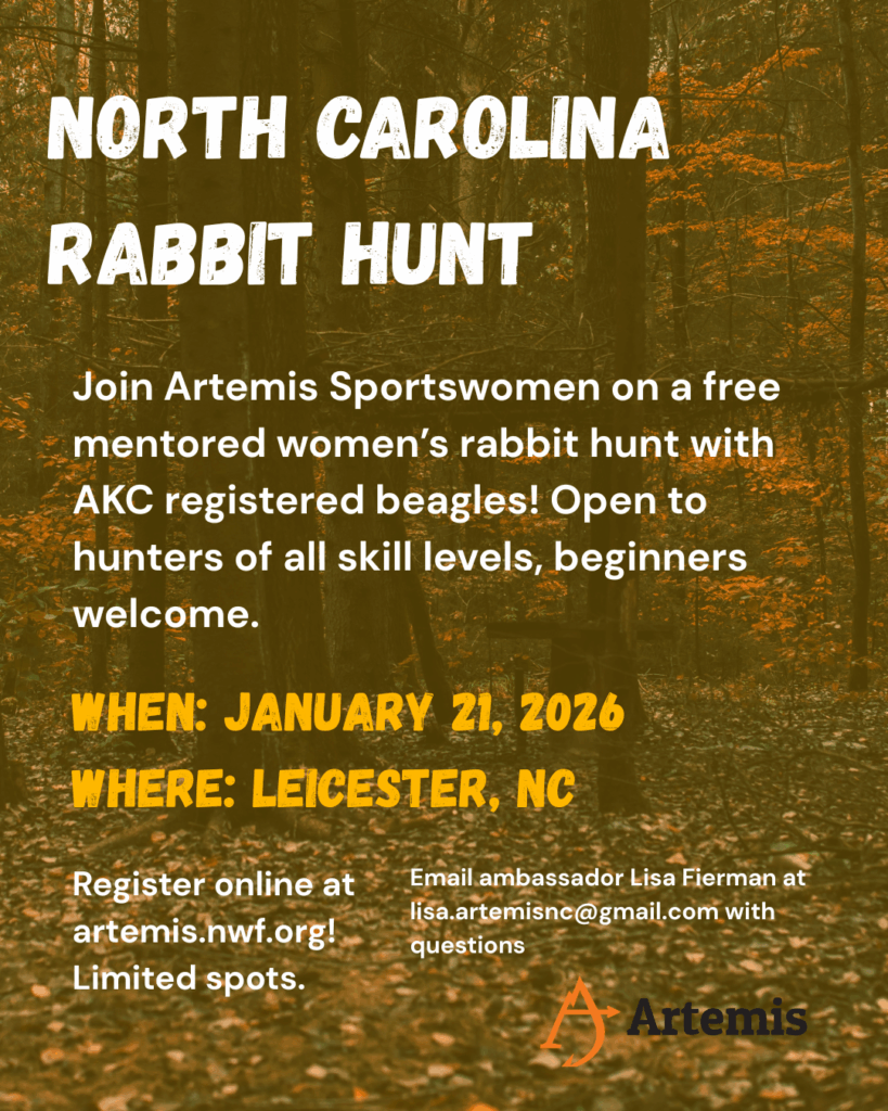 NC: Rabbit Hunt | Artemis : Artemis